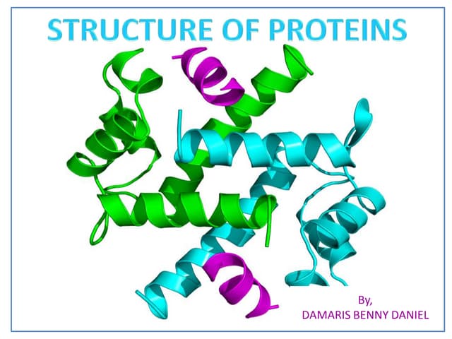 Proteins | PPTX