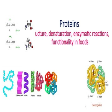 Protien.pptx helps for B,tech Food Technology students | PPTX