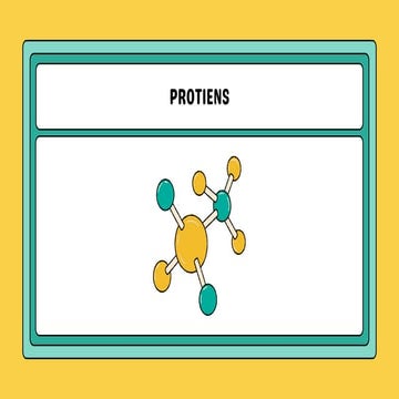 Lesson 11 Proteins | PDF