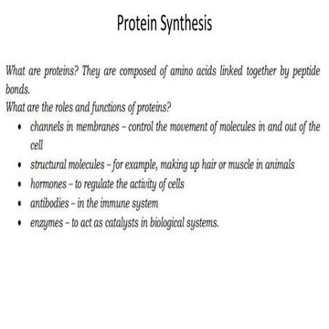 PROTIEN SYNTHESIS.pptx help to understand the process of protien synthesis | PPT