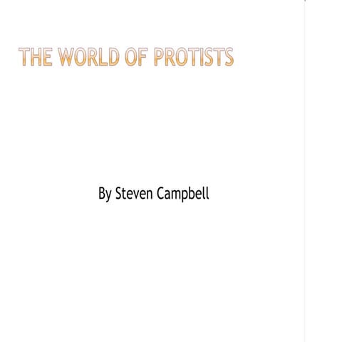 Protists Powerpoint | PPT