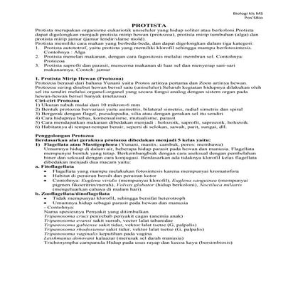 Protista | DOCX