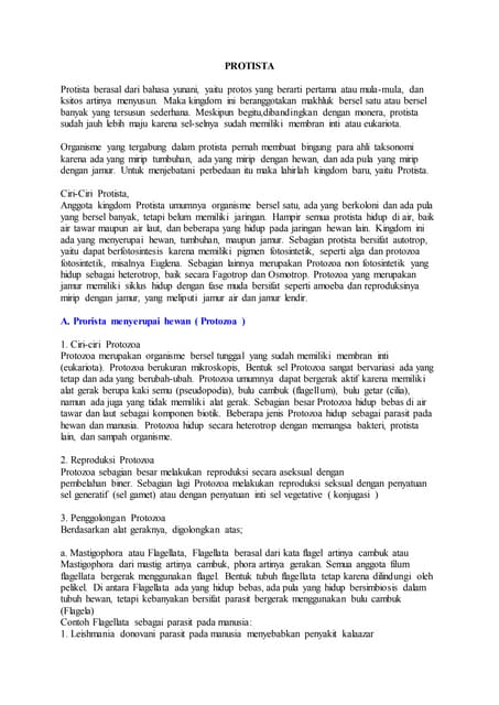 PROTISTA.pptx
