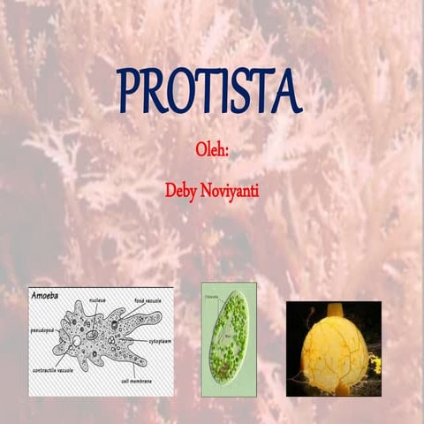 SMA Kelas X - Protista | PPT