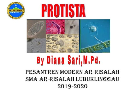 Lkpd 10 ekosistem | DOCX