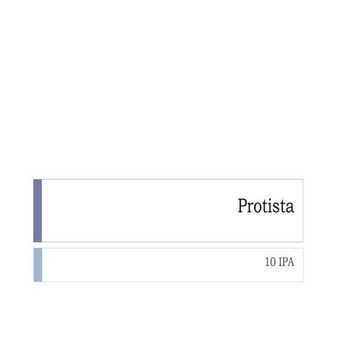 Protista | PPTX