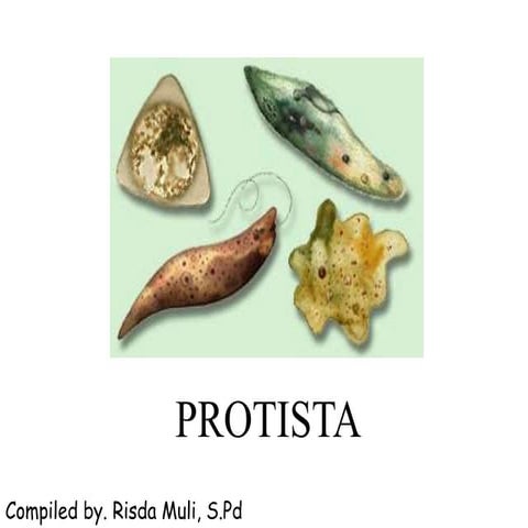 Materi Protista | PPTX