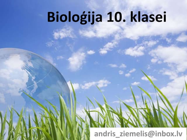 ZPD VADLĪNIJAS. Kā veidot ZPD un pareizi ta noformēt? | PDF