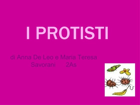 Protisti | PPT