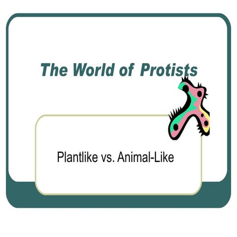 Protists | PPT