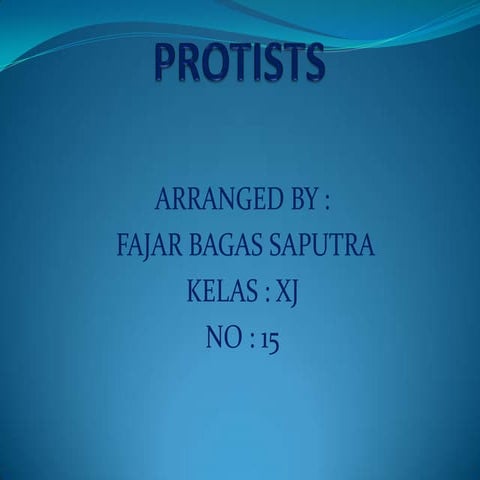 Protists Pptx 2819