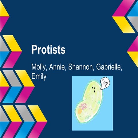 Protists | PDF | Biological Sciences | Science