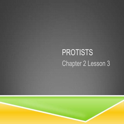 Protists | PPT