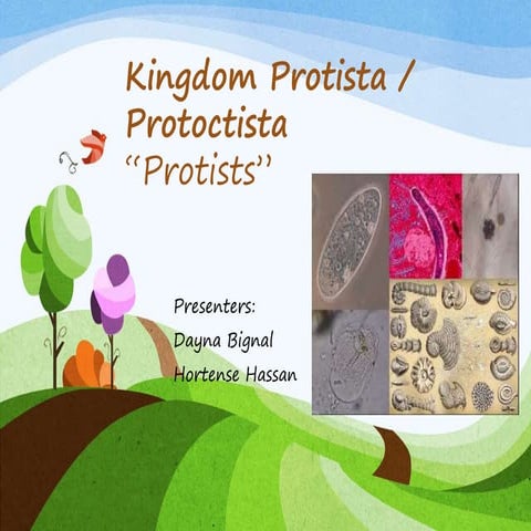Protists | PPTX