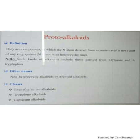 Proto alkaloids | PDF