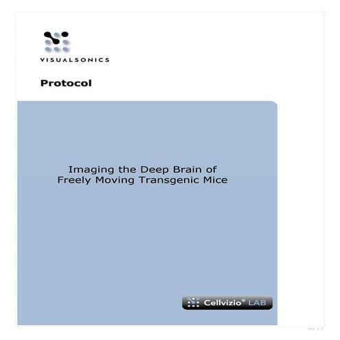 Protocol: Imaging the Deep Brain of Freely Moving Transgenic Mice | PDF