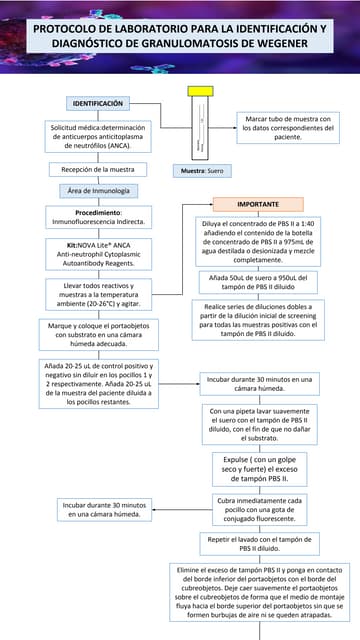 Infografia les | PDF