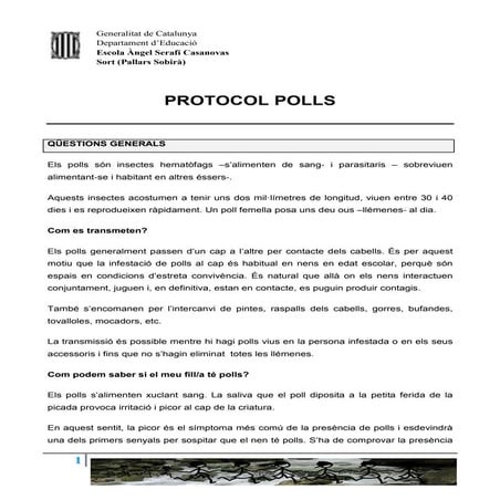 Protocol polls | PDF
