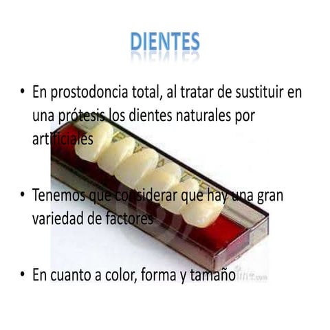 Protodoncia total | PPTX