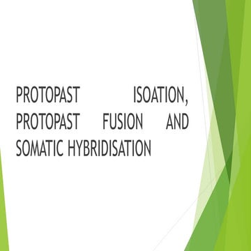 PROTOPAST ISOATION, PROTOPAST FUSION AND SOMATIC HYBRIDISATION.pptx