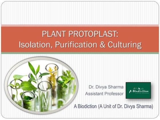 Unit 2 plant tissue culture lab ms media preparation | PPTX