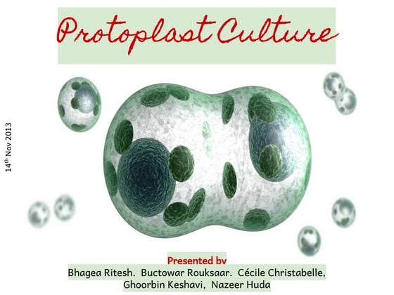Callus culture - Plant Tissue Culture | PPT