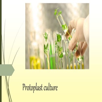 Protoplast isolation,culture & fusion | PPTX