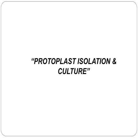 Protoplast isolation, culture and methods to check viability | PDF