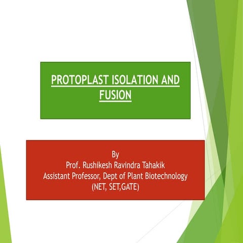Protoplast Isolation And Fusion for crop improvement | PPT