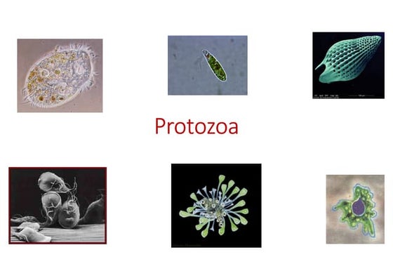 DFSS Certificate | PPT