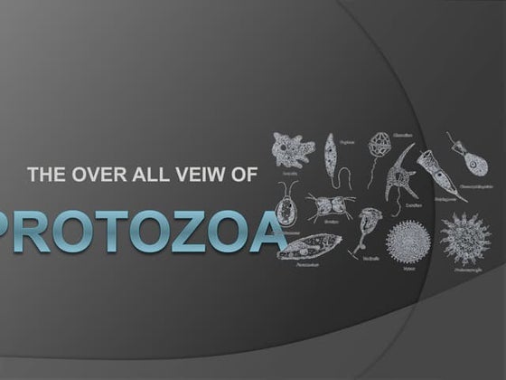 Protozoa | PPTX