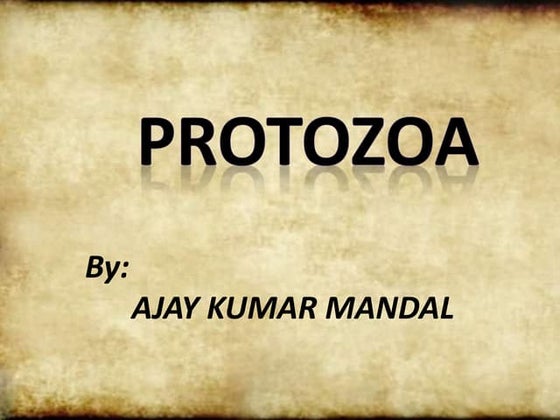 Taxonomy of protozoa | PPT