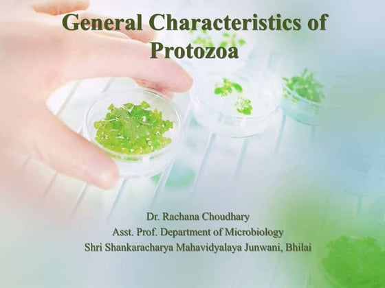 General characteristics of protozoa | PPTX