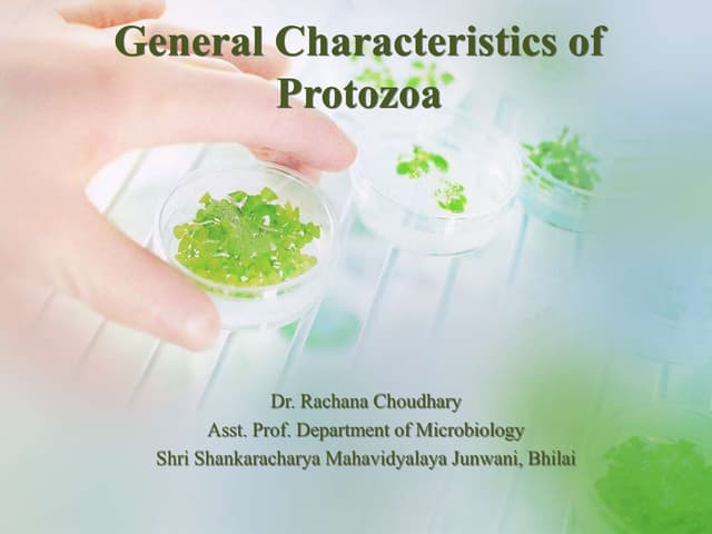 Protozoa Structure | PPT