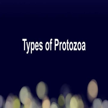 PROTOZOA.pptx