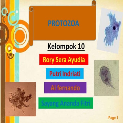 PROTOZOA.pptx
