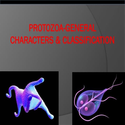 Protozoa Types And Classification Pptx Pptx