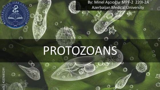 i slide presentation on giardia including all introduction | PPT