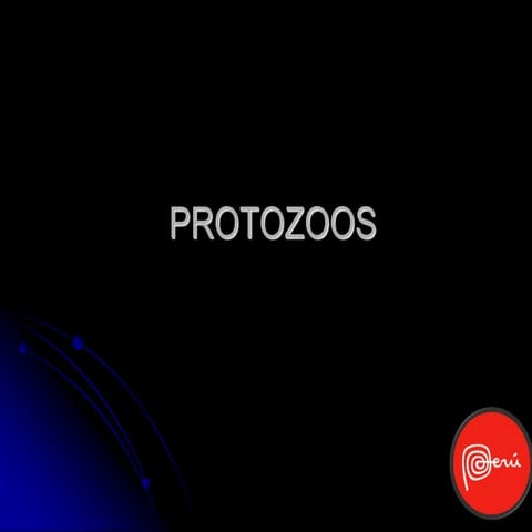 Comprehensive Overview of Protozoa: Classification, Structure, and ...