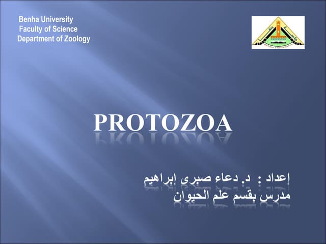 Protozoa Structure | PPT