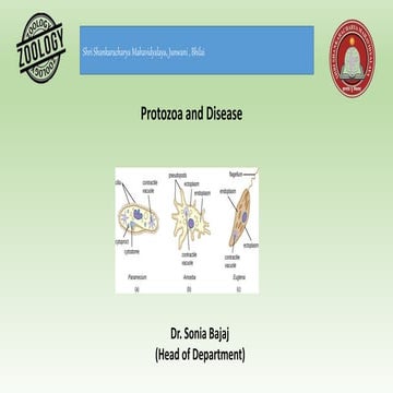 Protozoa and disease | PPTX