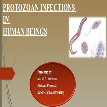 PROTOZOAL INFECTIONS IN MICROBIOLOGY.pptx