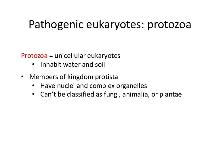 7 - Protozoal Pathogens
