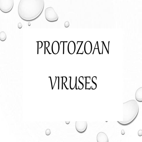 PROTOZOAN VIRUSES.pptx