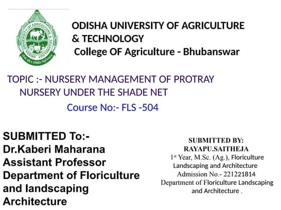 CACAO NURSERY ESTABLISHMENT AND MANAGEMENT.pptx | Agriculture | Industries