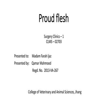 Proud flesh in animals | PPTX