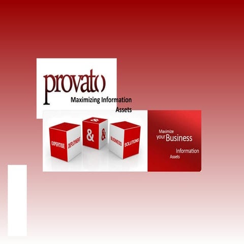 Provato Services Overview | PPT