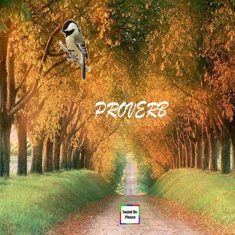 Proverb | PPT