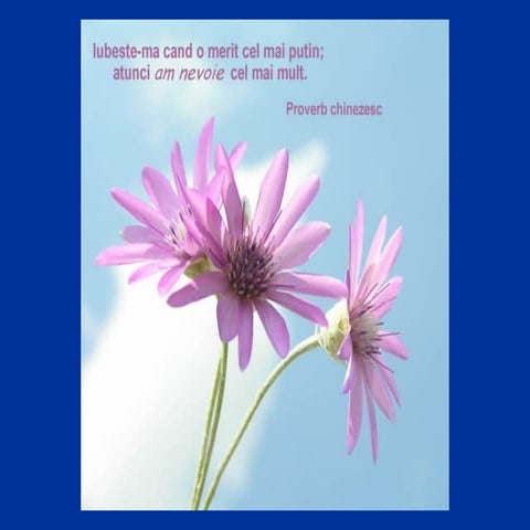 Proverbe | PPS