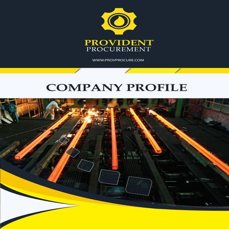 Provident Procurement Company Profile | PDF